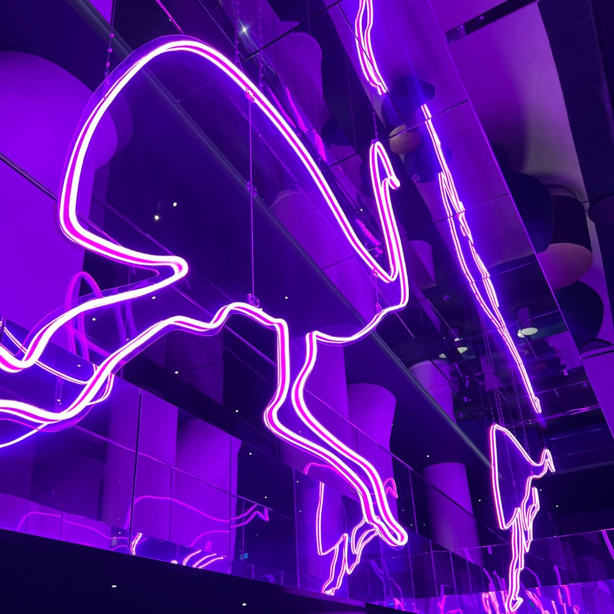 Custom Neon® Hospitality Showcase | LED Neon Signs for Hospitality Venues